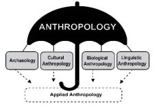 Introduction to Anthropology – An Open Introduction to Anthropology at ...