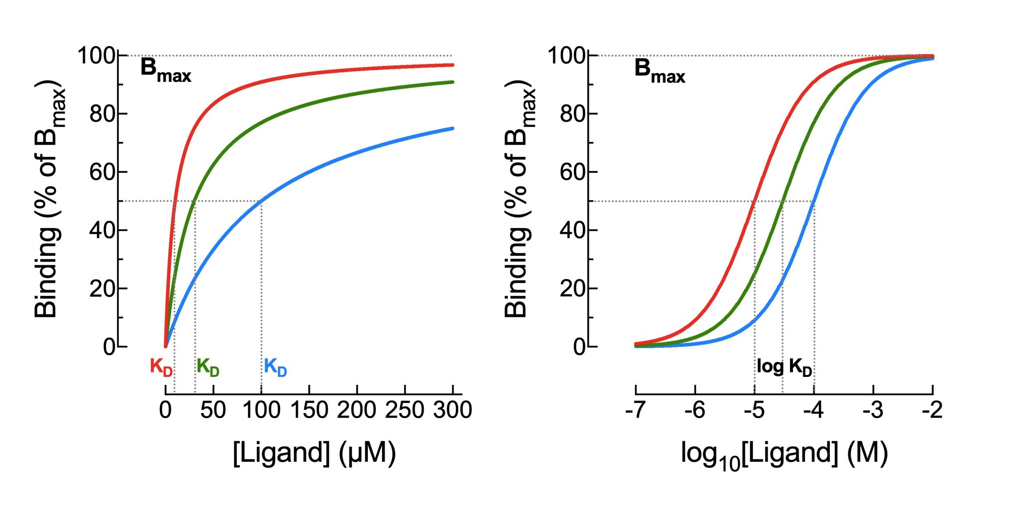 Hyperbola – An ABC of PK/PD