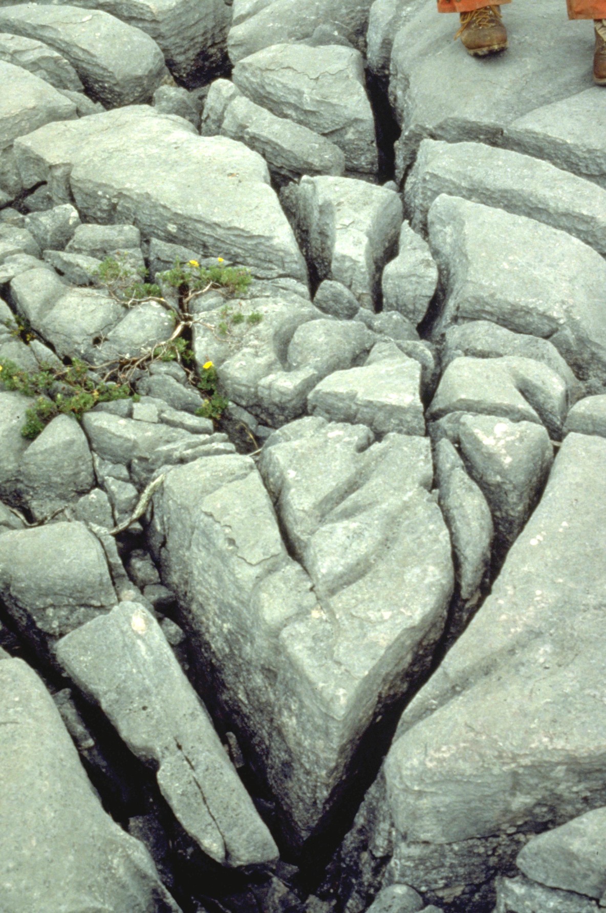 J. Fractures – Geological Structures: a Practical Introduction